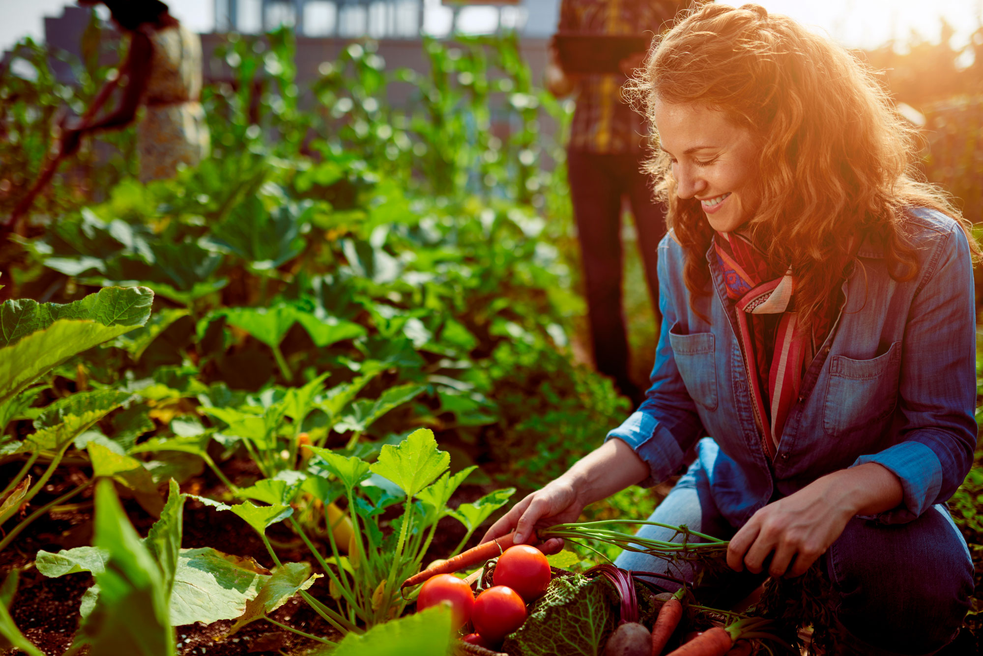 LEAF Programme - Library LEAF